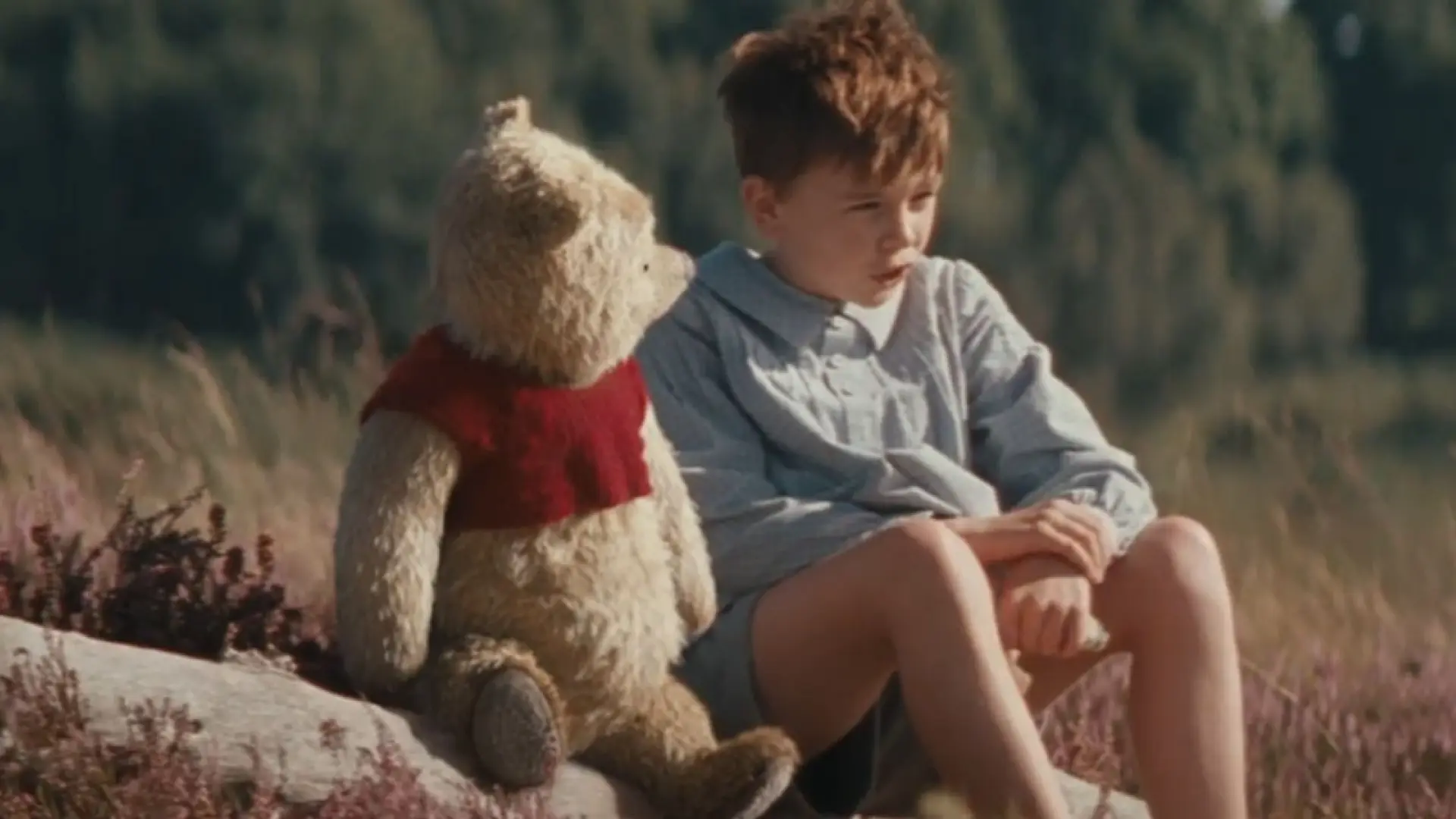 Christopher Robin - El live action de Winnie The Pooh (Galería de imágenes)