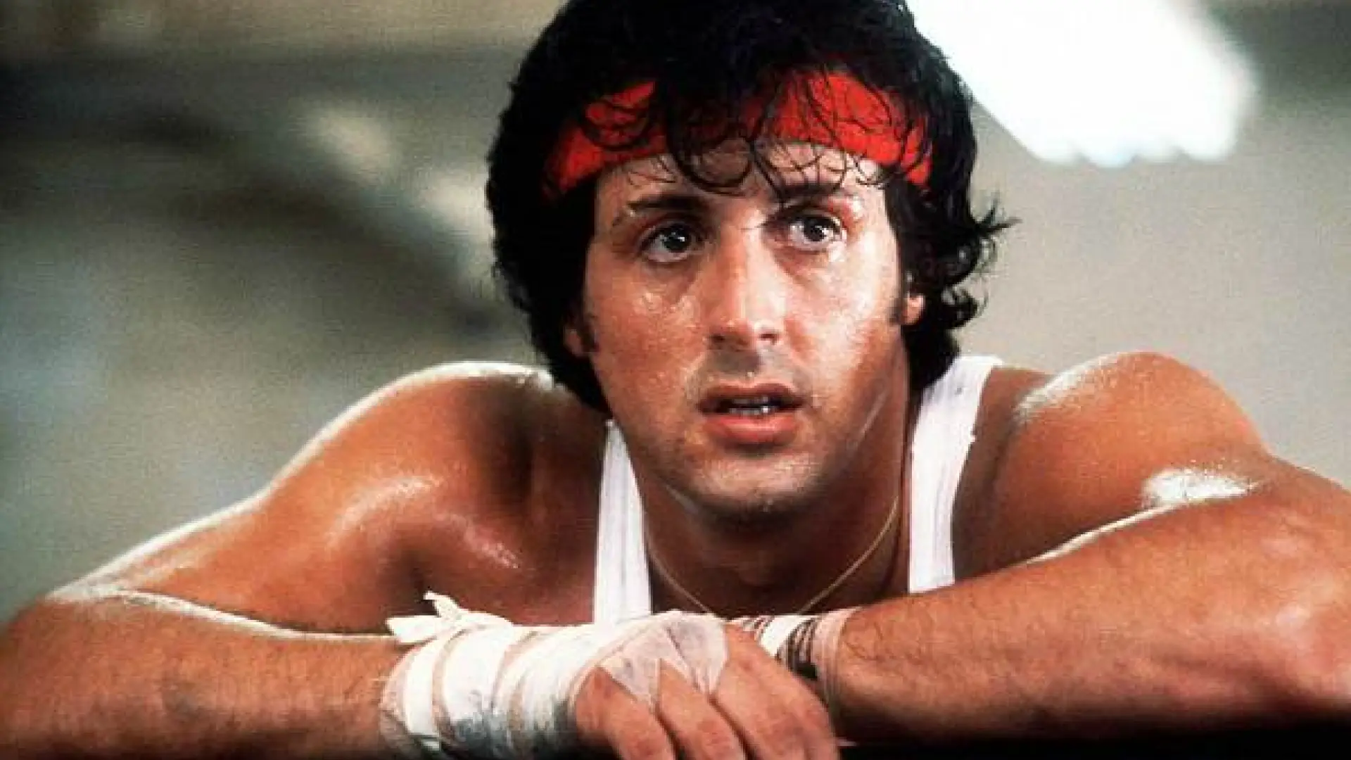 La película biográfica sobre Sylvester Stallone en Rocky confirma una ...