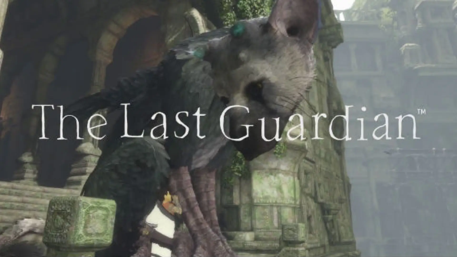 E3 2015: The Last Guardian en PS4, primer gameplay