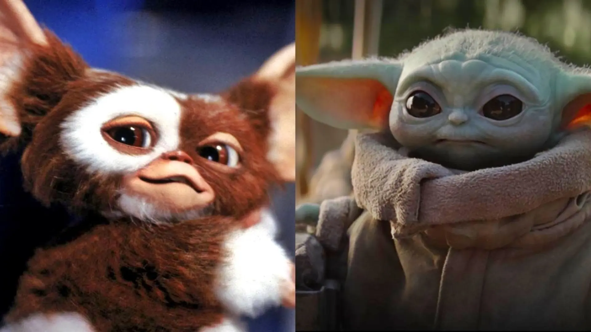 Gizmo es más adorable que Grogu de The Mandalorian, según el ...