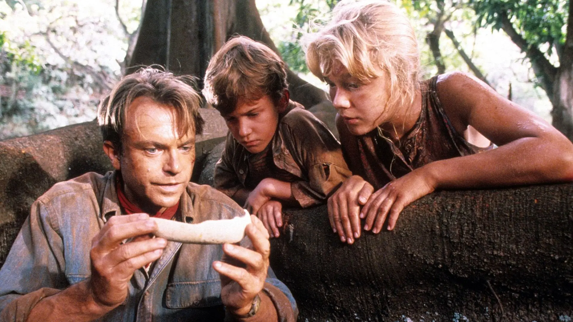 Steven Spielberg recuerda cuando Harrison Ford rechazó Parque Jurásico ...