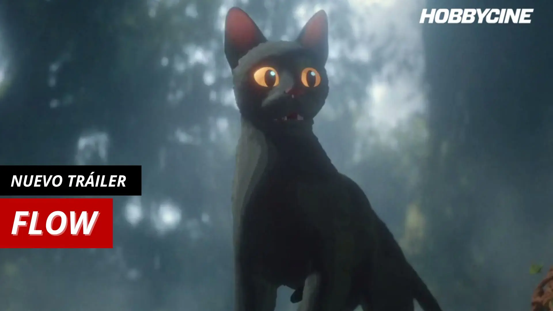 Flow, la película de animación que arrasa en Rotten Tomatoes, lanza un nuevo y emotivo tráiler