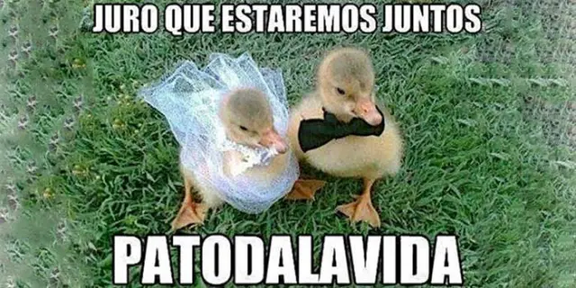 Felicitaciones de San Valentin 2020