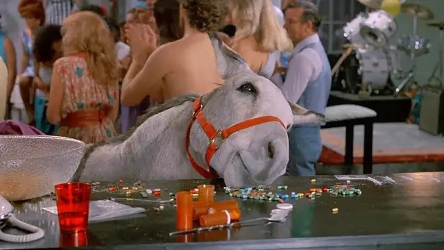 Las 10 mejores películas de fiesta, despedidas de soltero y desfase de ...